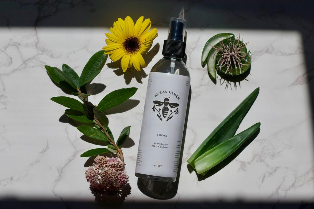 Focus – Hive and Haven